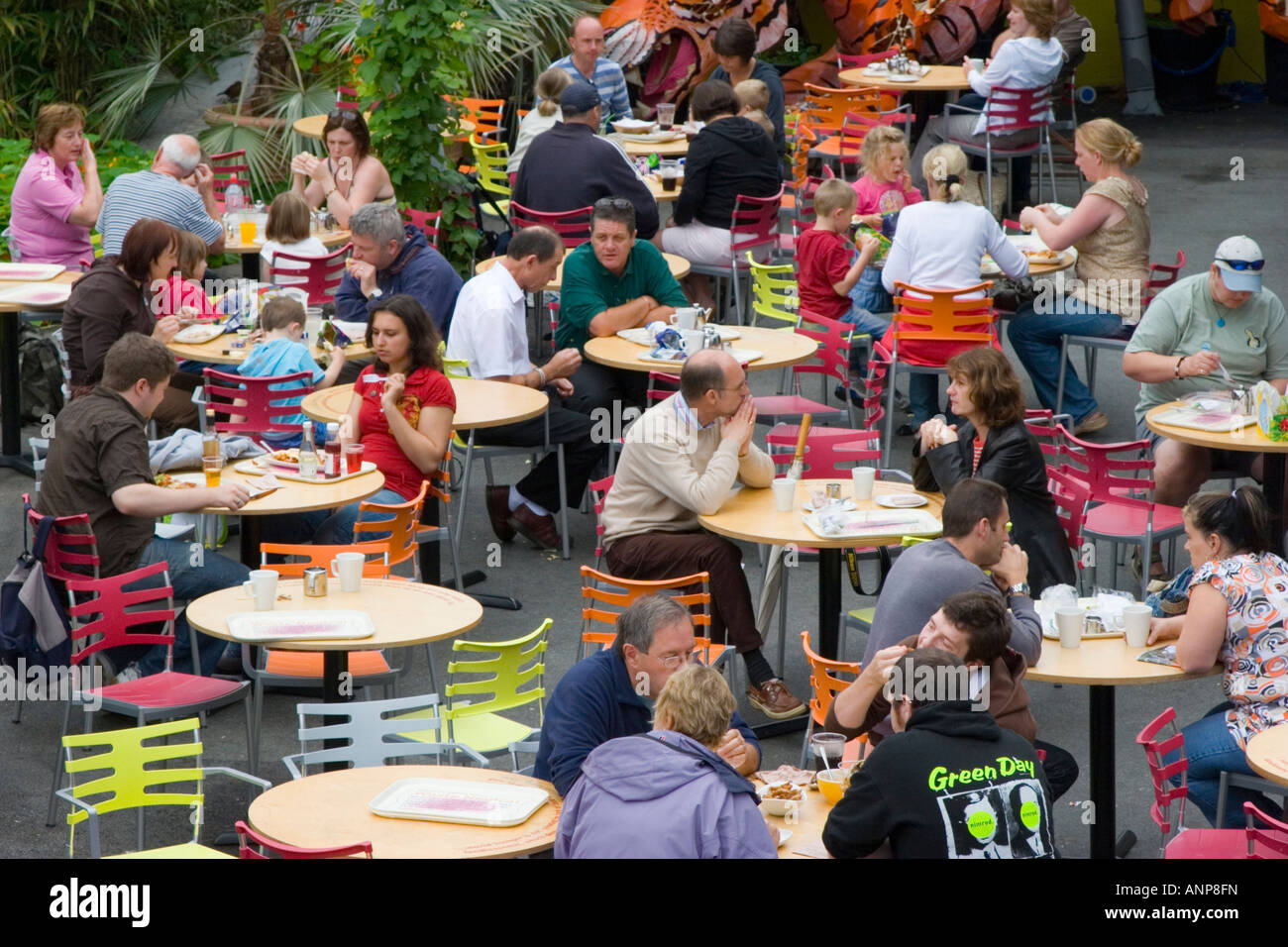Busy Restaurant Scene