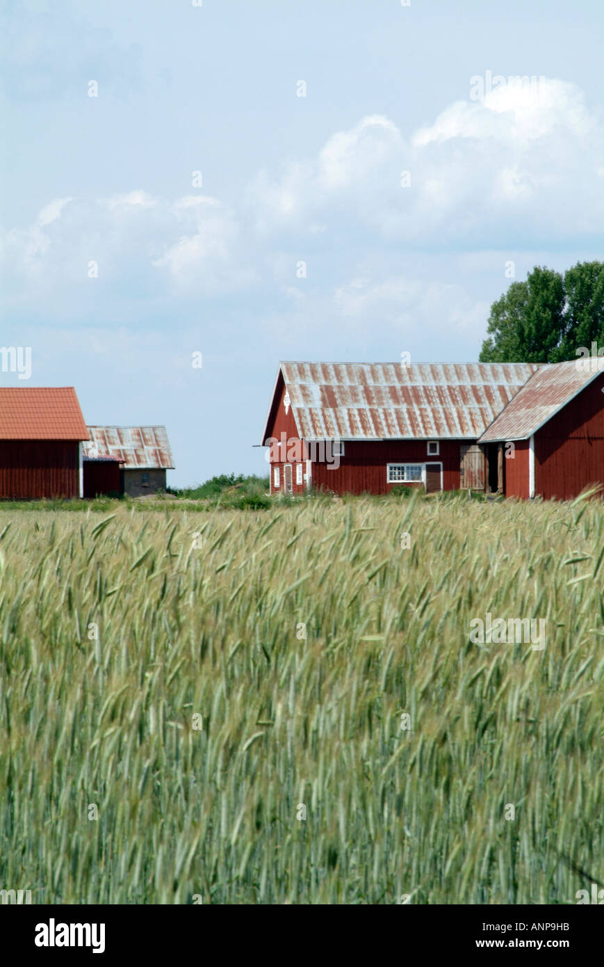 Sweden farm hi-res stock photography and images - Alamy