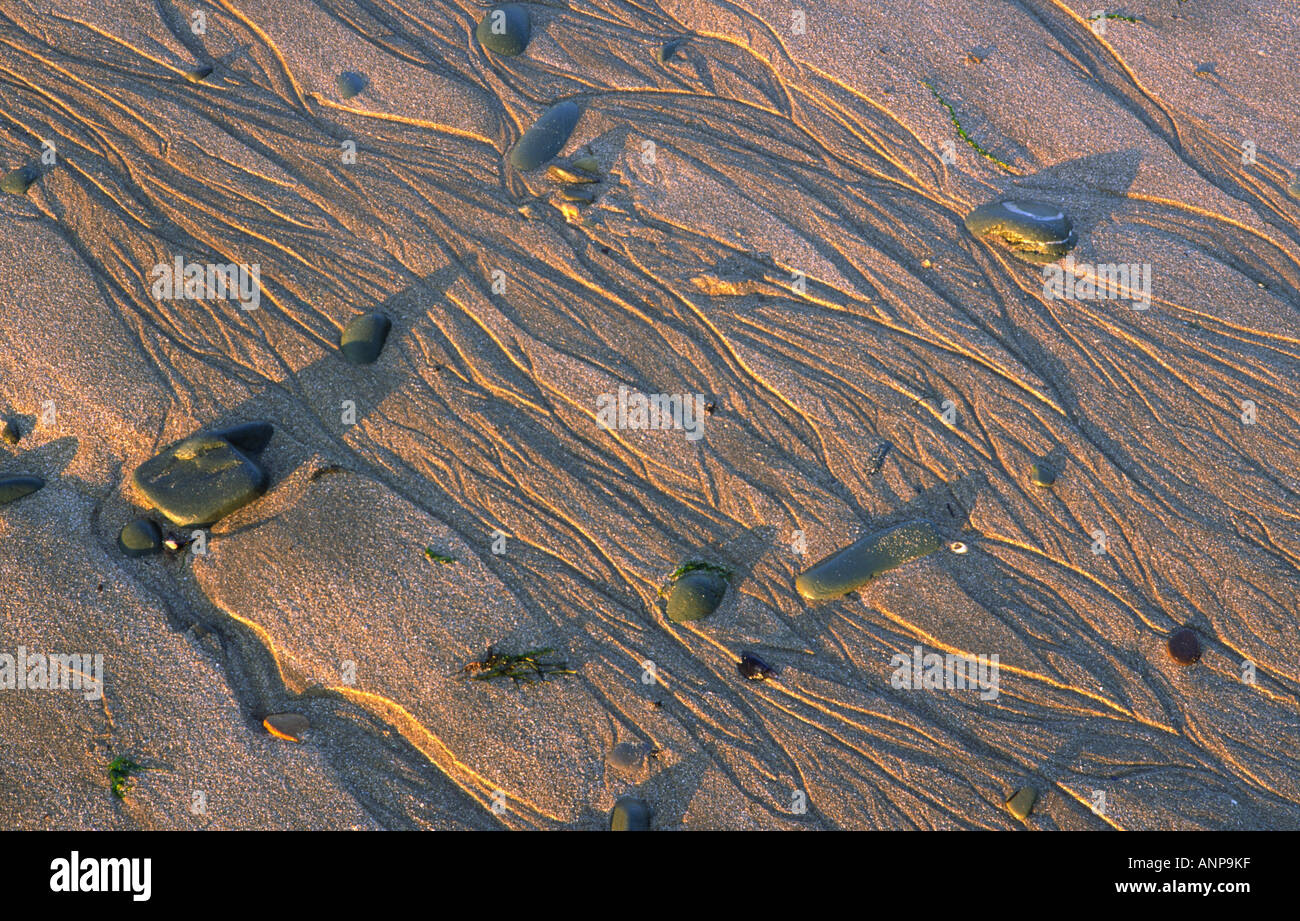 Textures on beach Stock Photo - Alamy