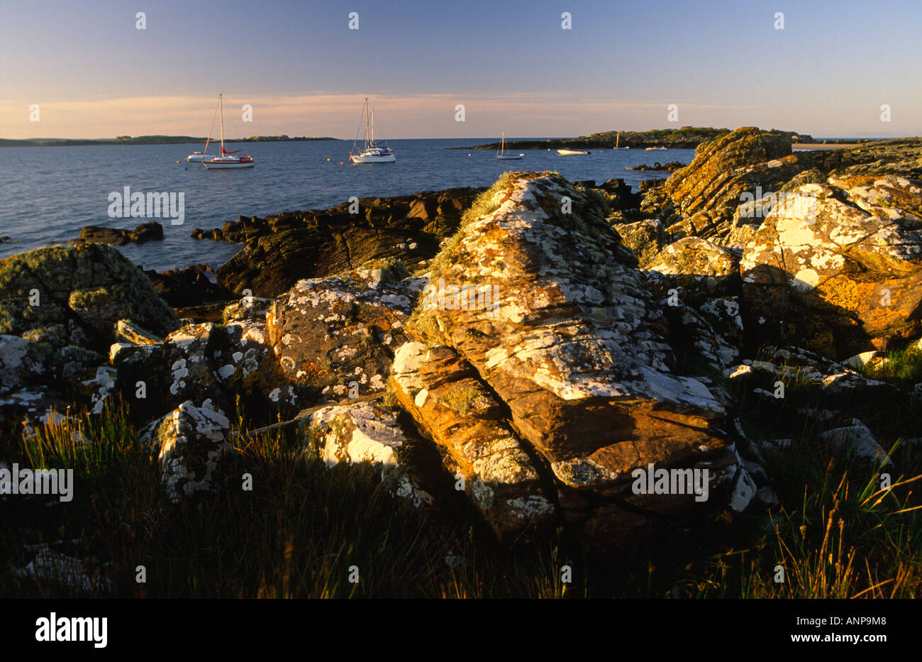 Mossyard hi-res stock photography and images - Alamy