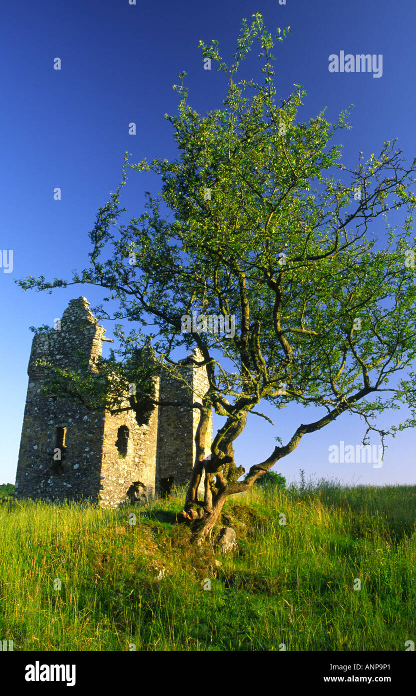Atmospheric ruined Scottish castle Stock Photo - Alamy