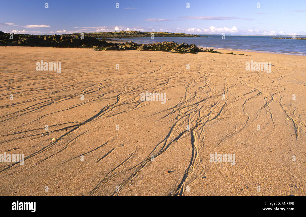 Sandy beach Scotland Stock Photo - Alamy