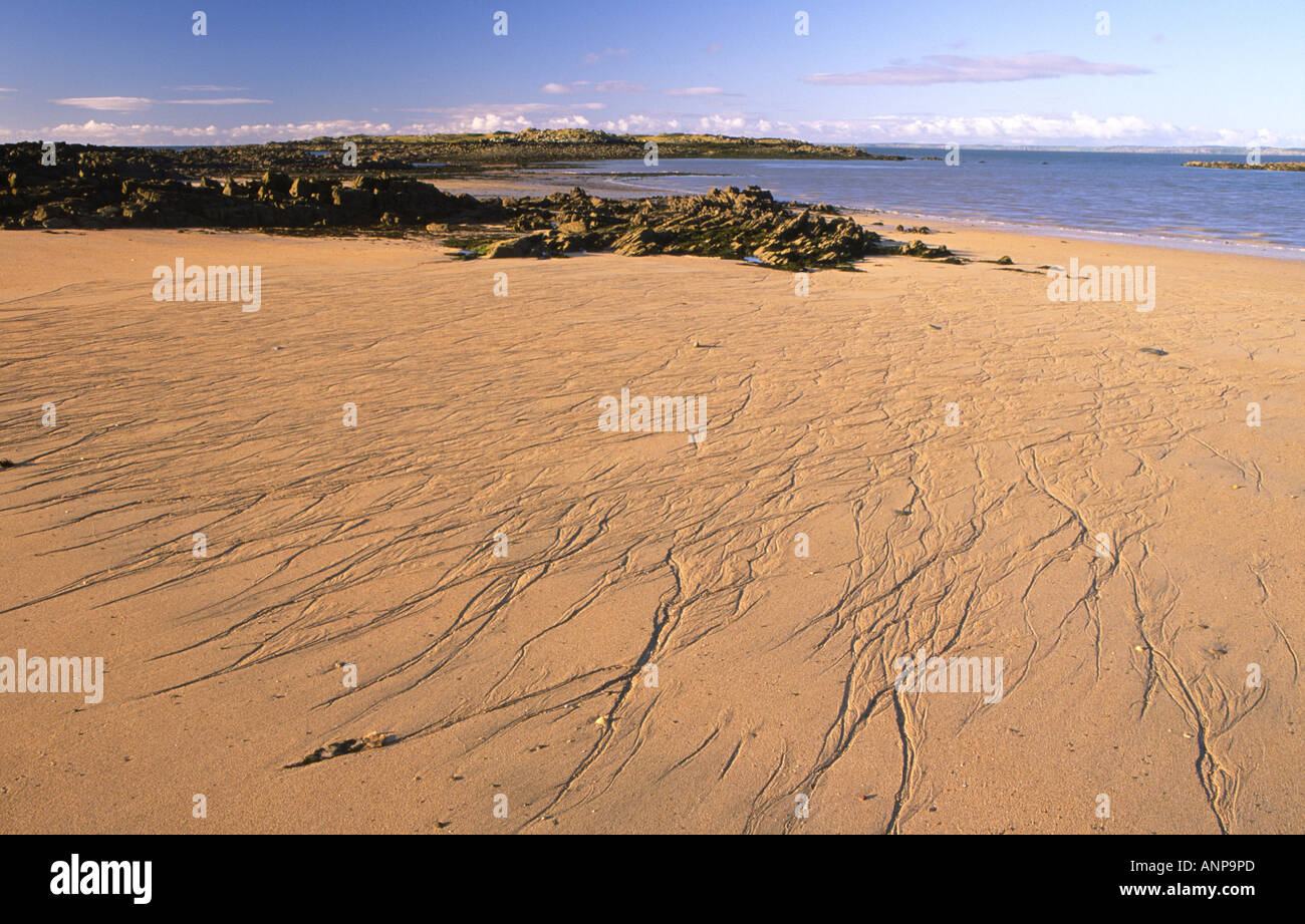 Islands of fleet galloway hi-res stock photography and images - Alamy
