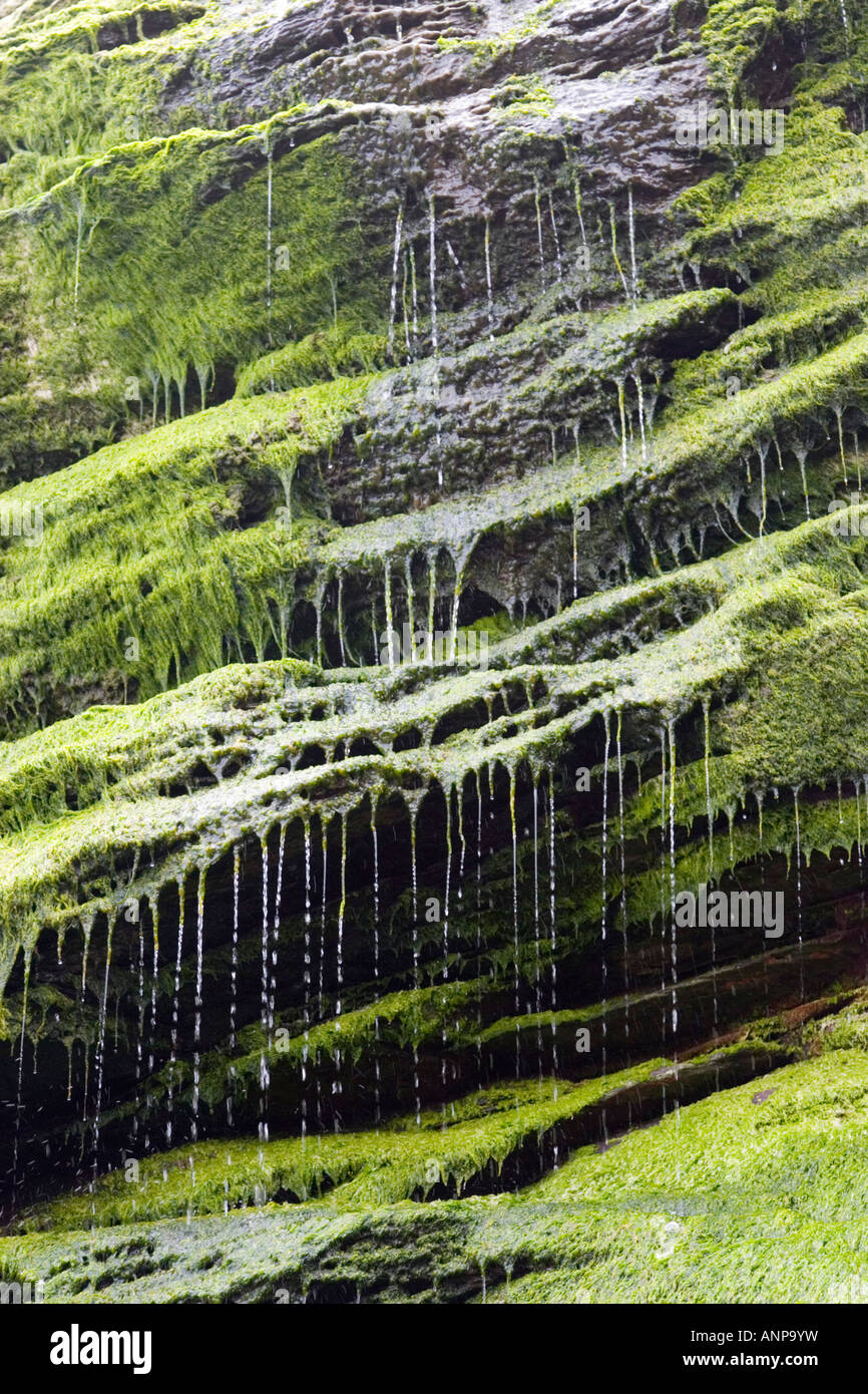 Waterfall cascading onto the beach underneath the ancient castle in ...