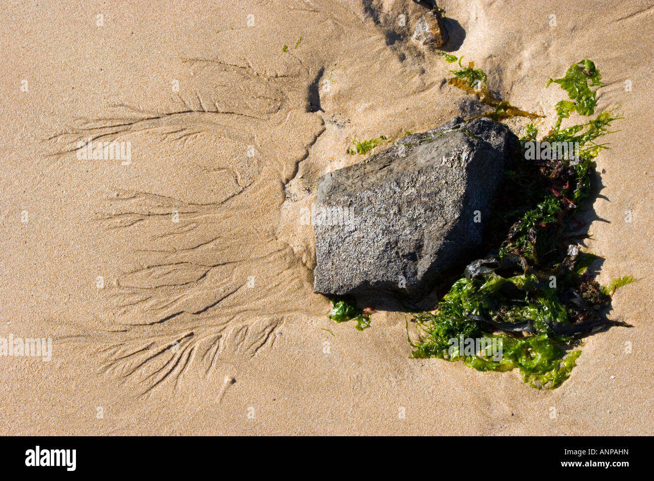 Close up of patterns in the sand caused by water flow Stock Photo - Alamy