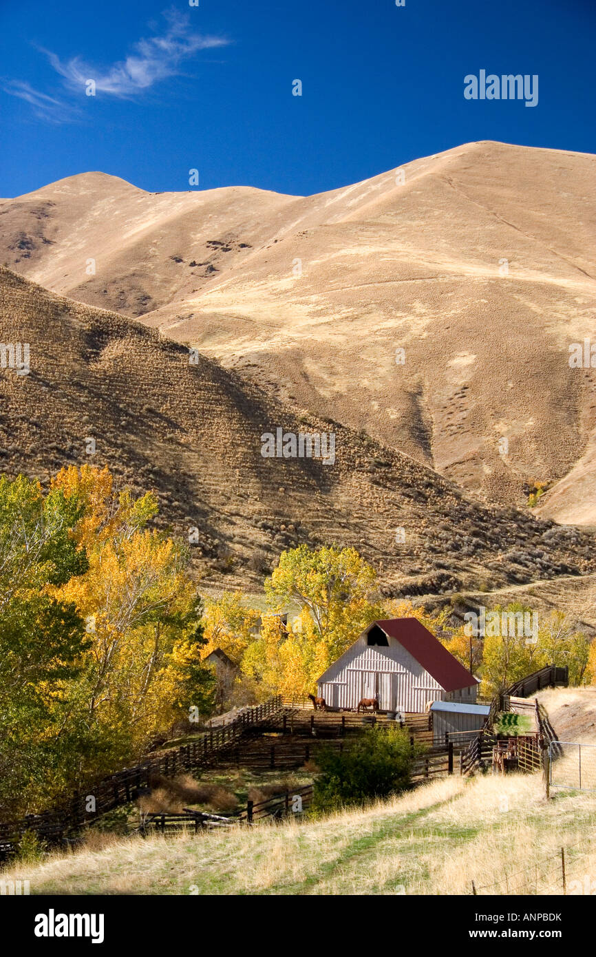 Horse corral and barn near Cambridge Idaho Stock Photo - Alamy