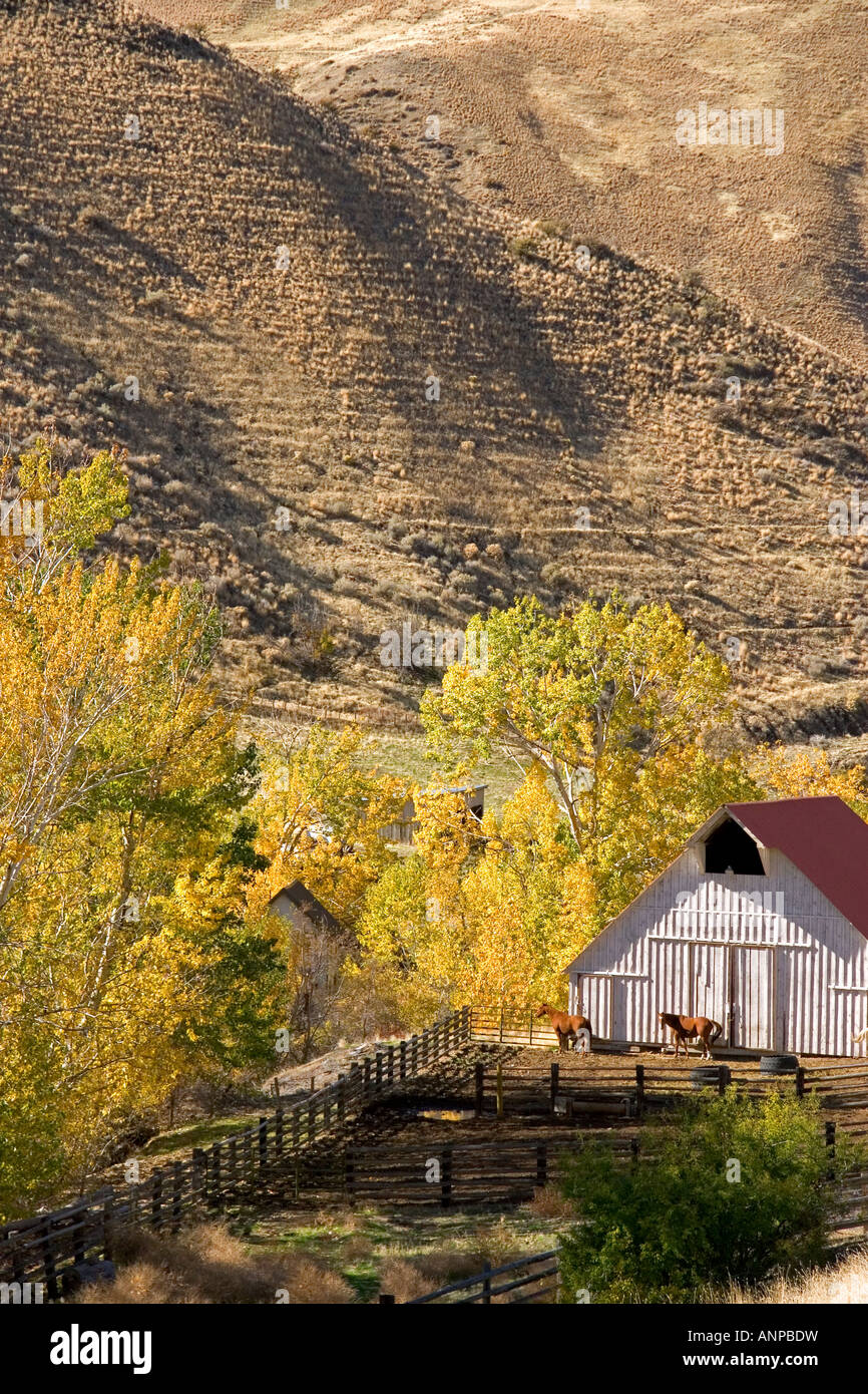Horse corral and barn near Cambridge Idaho Stock Photo - Alamy