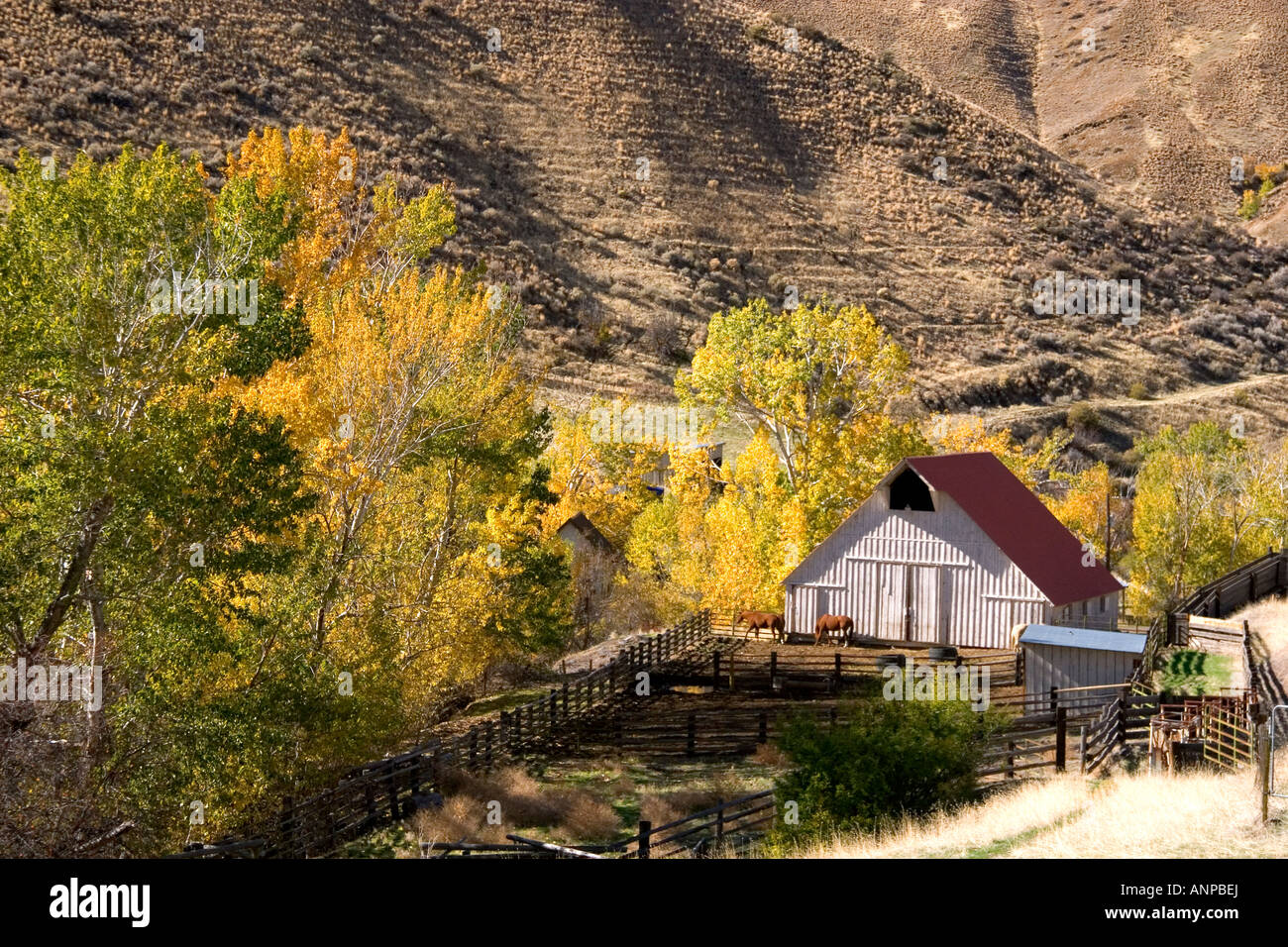Horse corral and barn near Cambridge Idaho Stock Photo - Alamy
