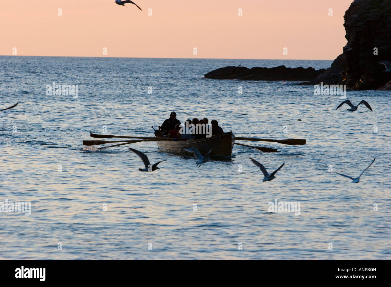 Men in rowing boats hi-res stock photography and images - Alamy