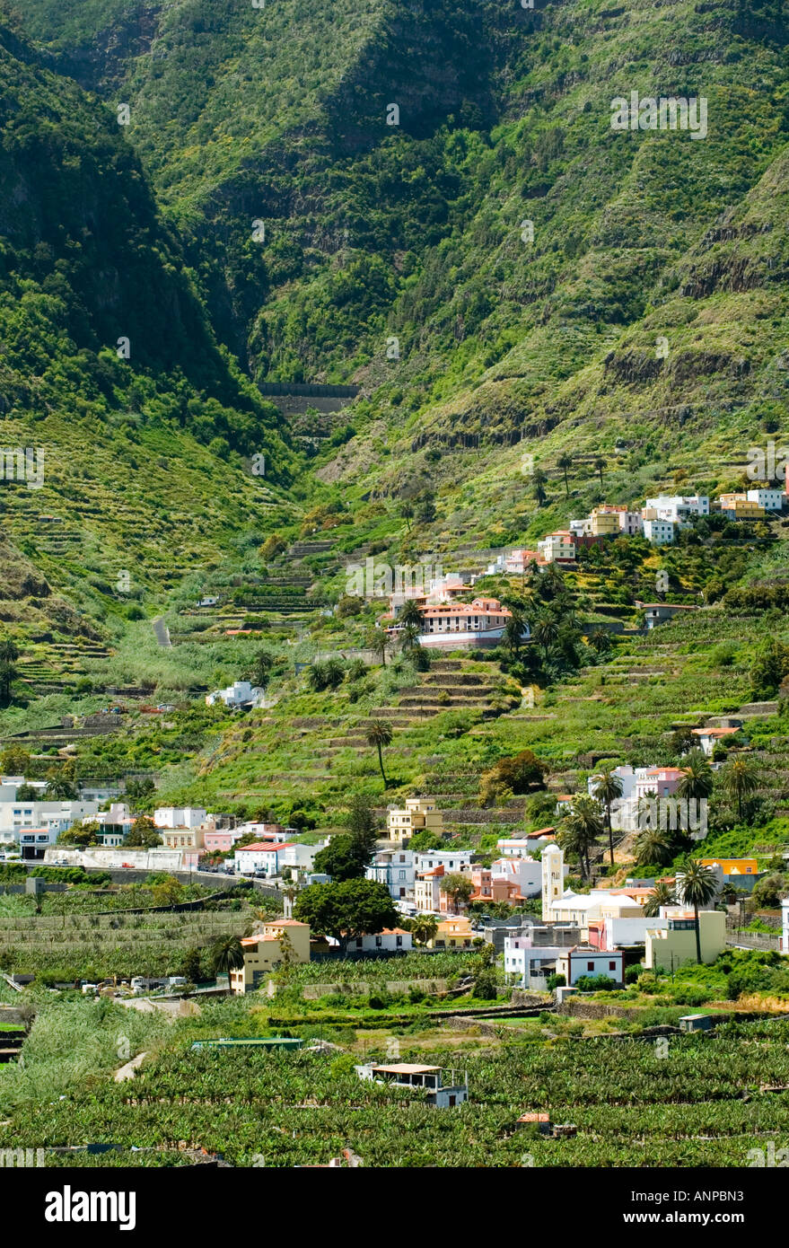 Village houses and banana plantation hi-res stock photography and images - Alamy