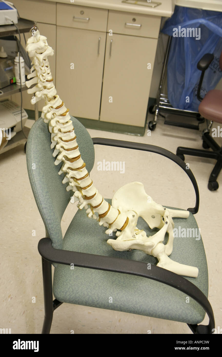 Miami Beach Florida,Miami Heart Institute,human spinal cord pelvis ...
