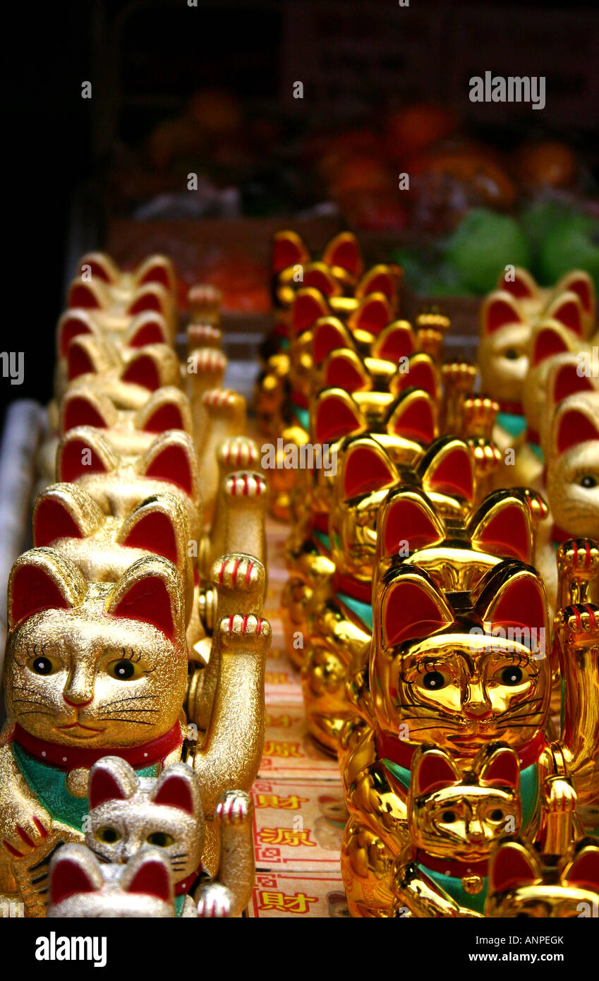 Good luck cats hi-res stock photography and images - Alamy