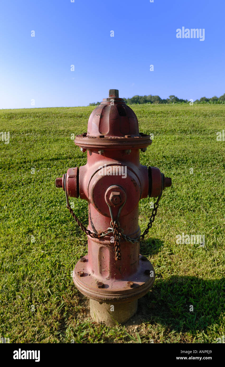 Fire hydrant in grass vertical Stock Photo - Alamy