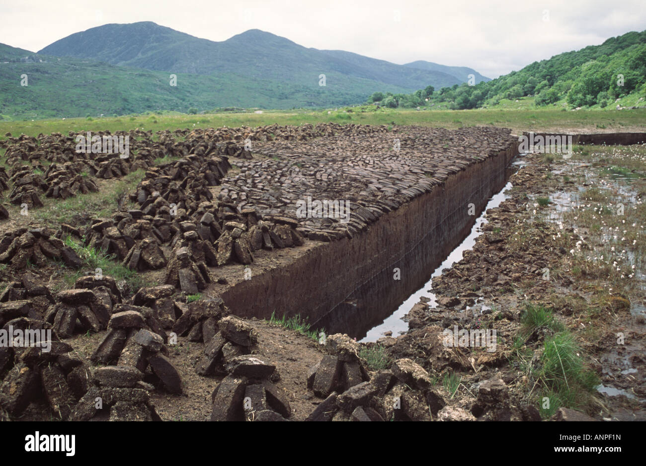 Irish bog Ireland Stock Photo - Alamy