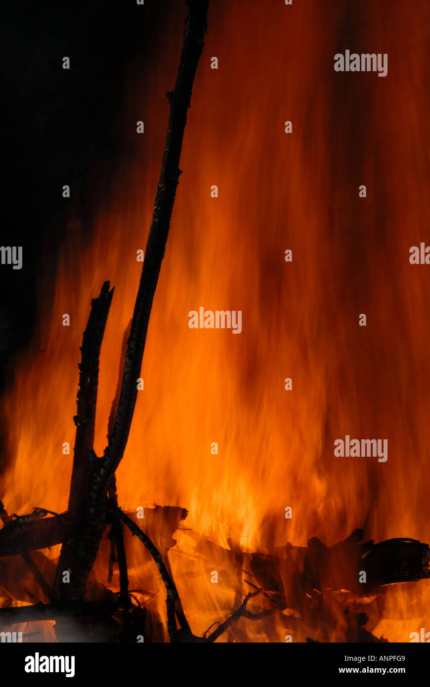 Bonfire flames vertical Stock Photo - Alamy
