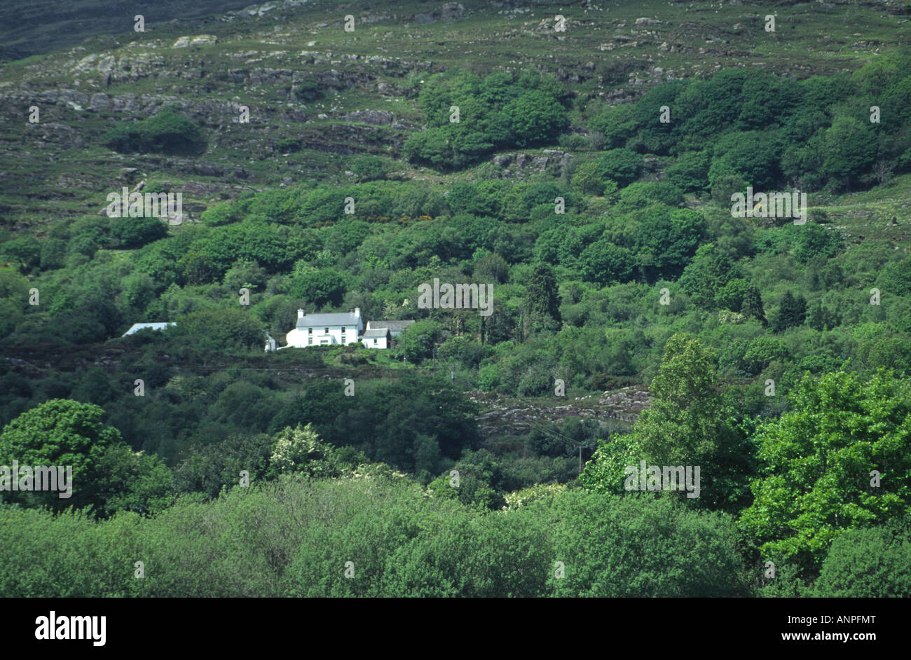 Lonely Irish cottage in rugged mountains, Cork, Ireland, Wild Atlantic ...
