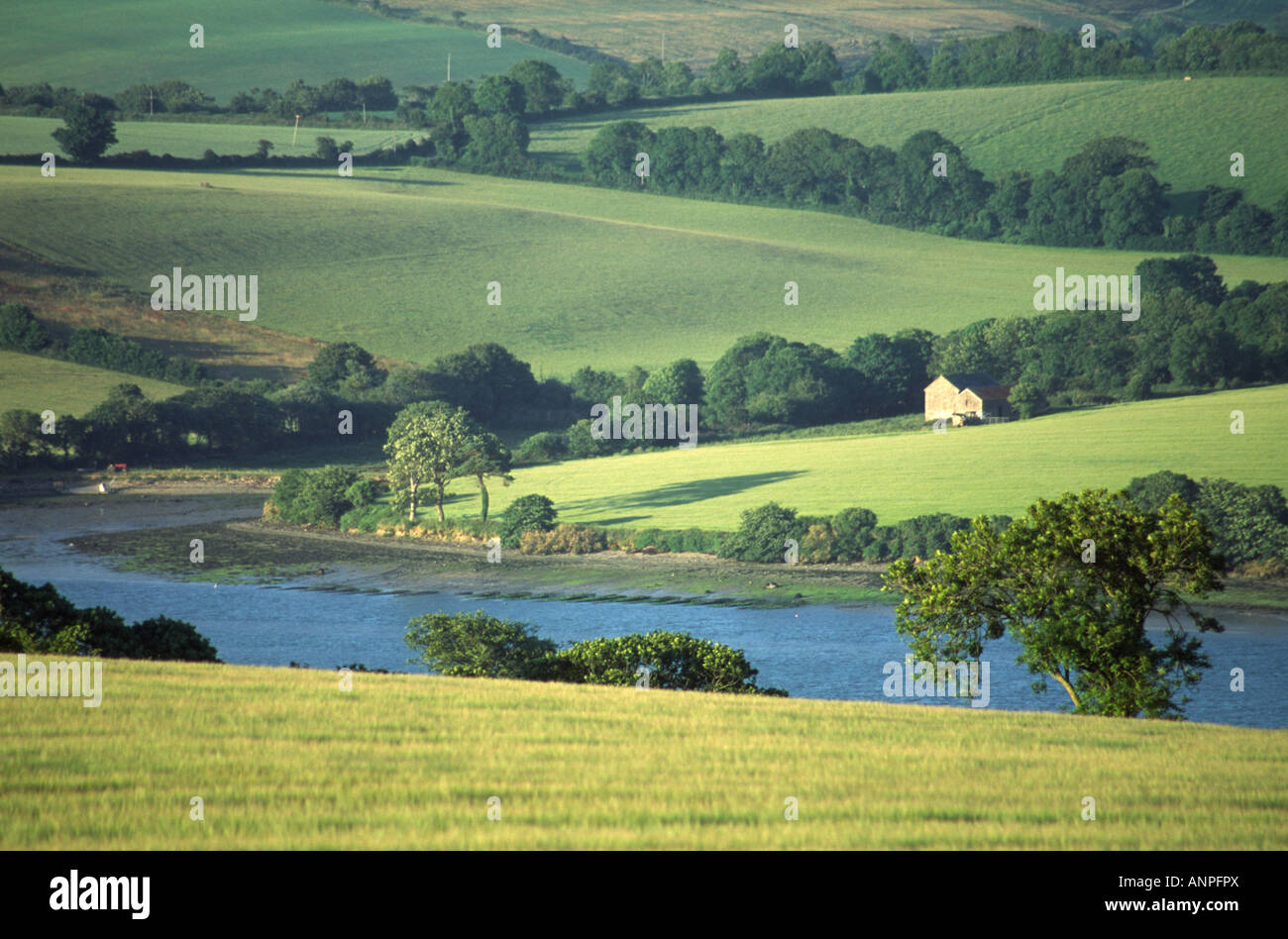 Rolling hills beside a river in County Cork, Ireland Stock Photo - Alamy