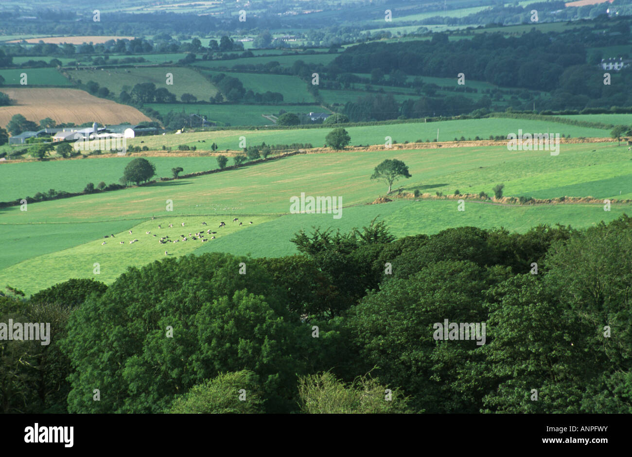 Rolling hills and green fields, ireland Stock Photo - Alamy