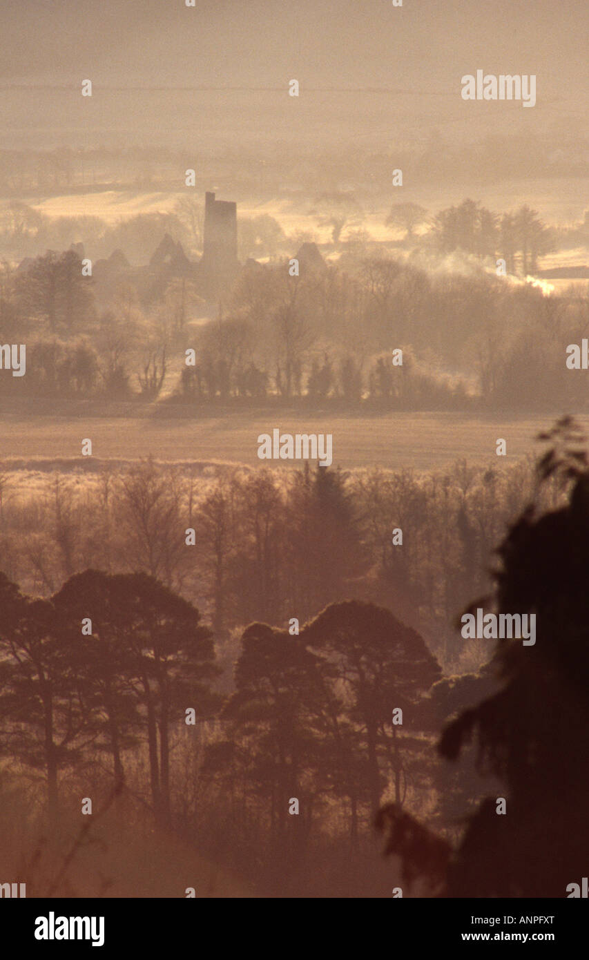 Atmospheric winter scene with ruined castle in the background. Kilcrea ...