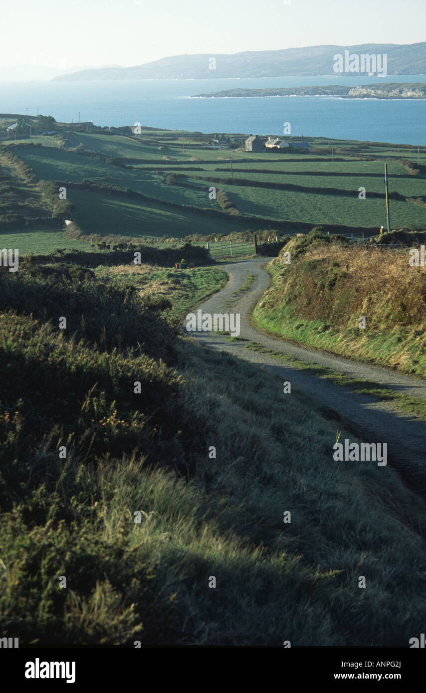 Toe head hi-res stock photography and images - Alamy