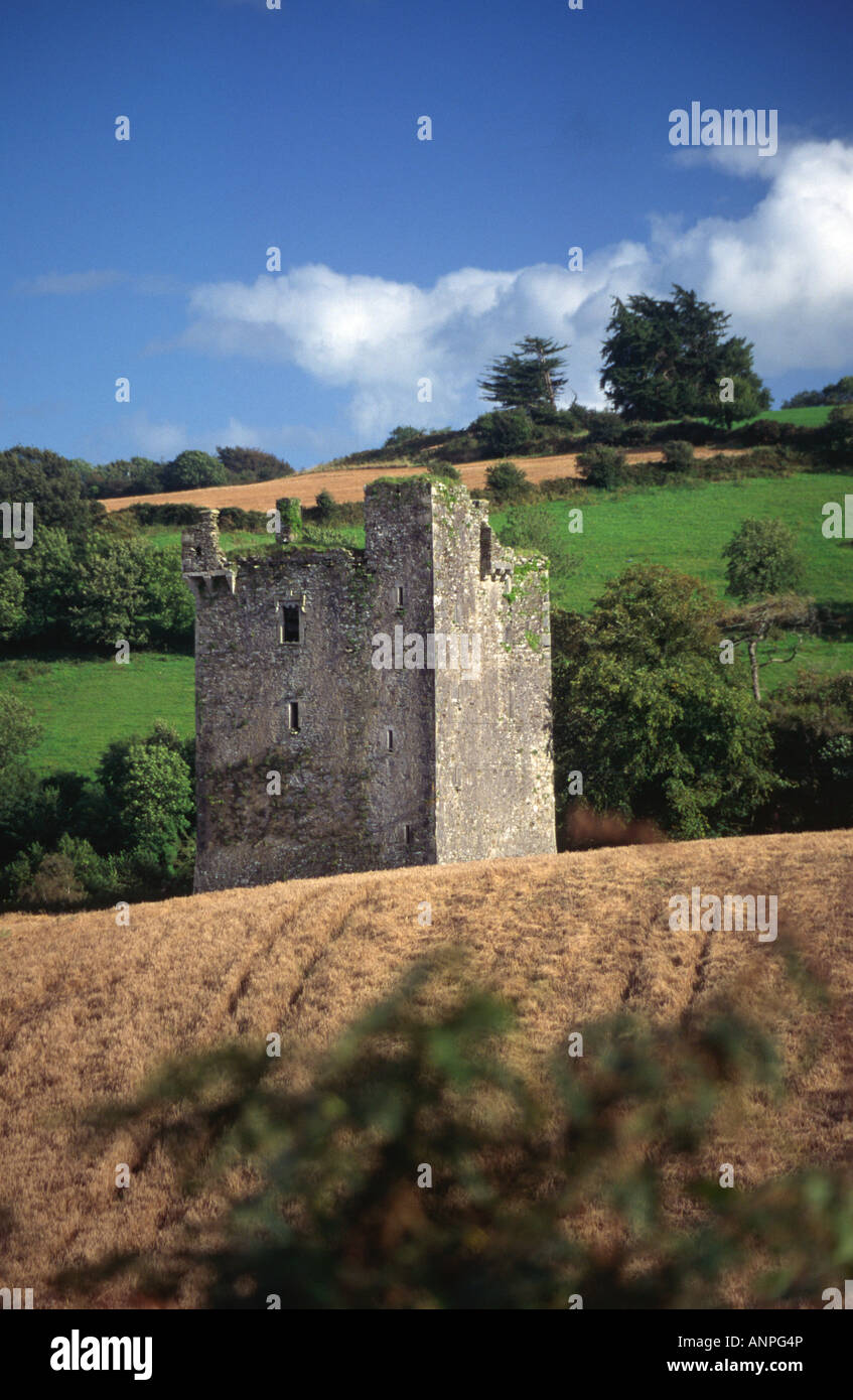 Old castle in county Cork Ireland Stock Photo - Alamy