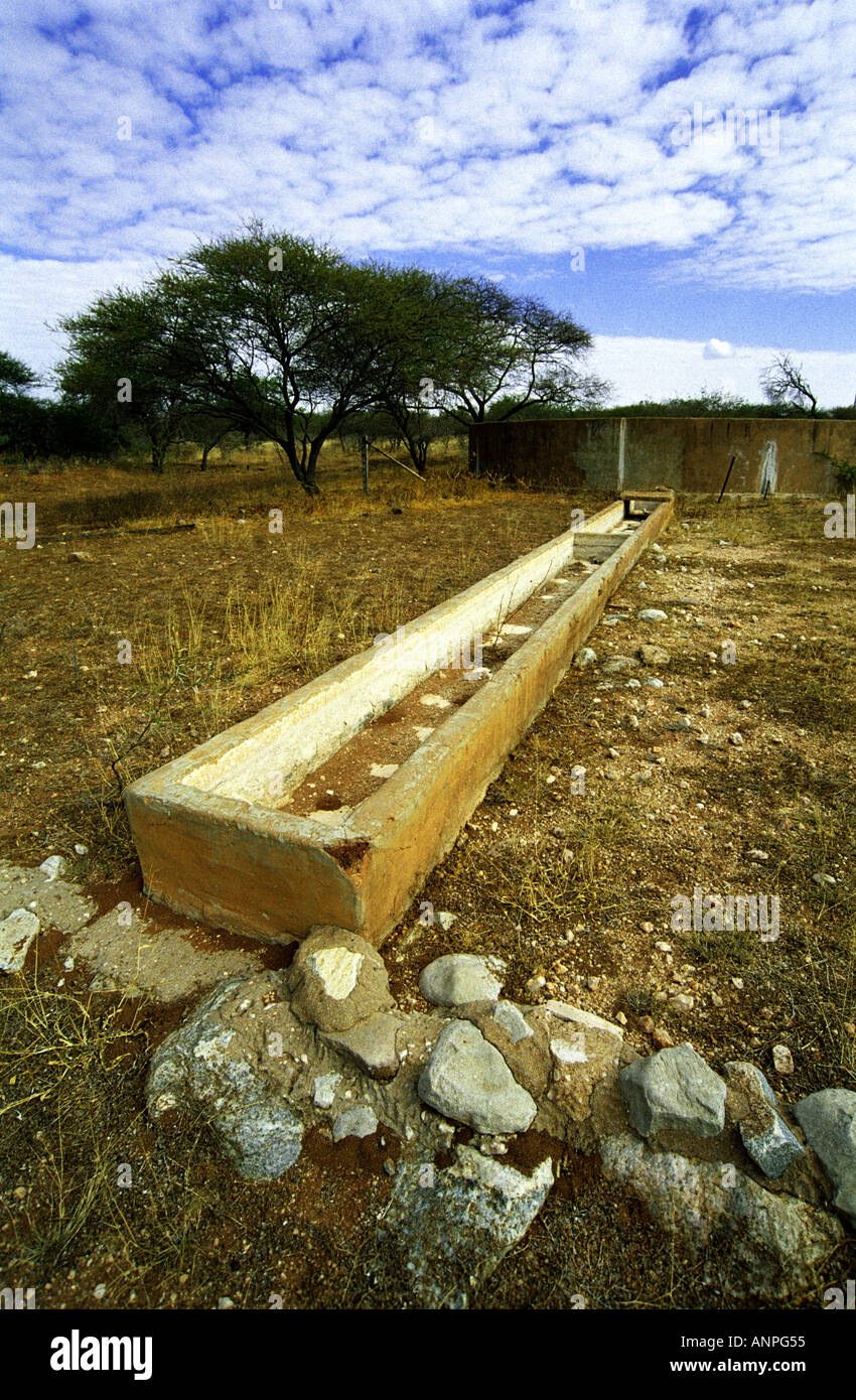 Farming, landscape, climate change, global warming, animal watering ...