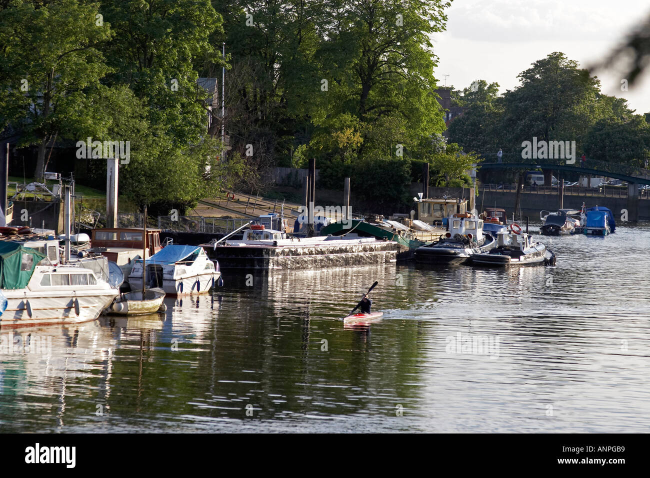 Eel Pie island with canoeist and River Thames at dusk in summer ...