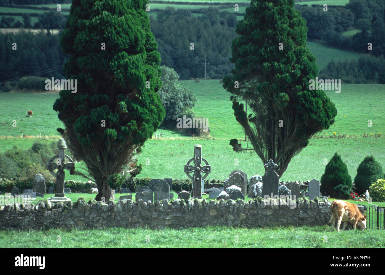 Athenry ireland hi-res stock photography and images - Alamy