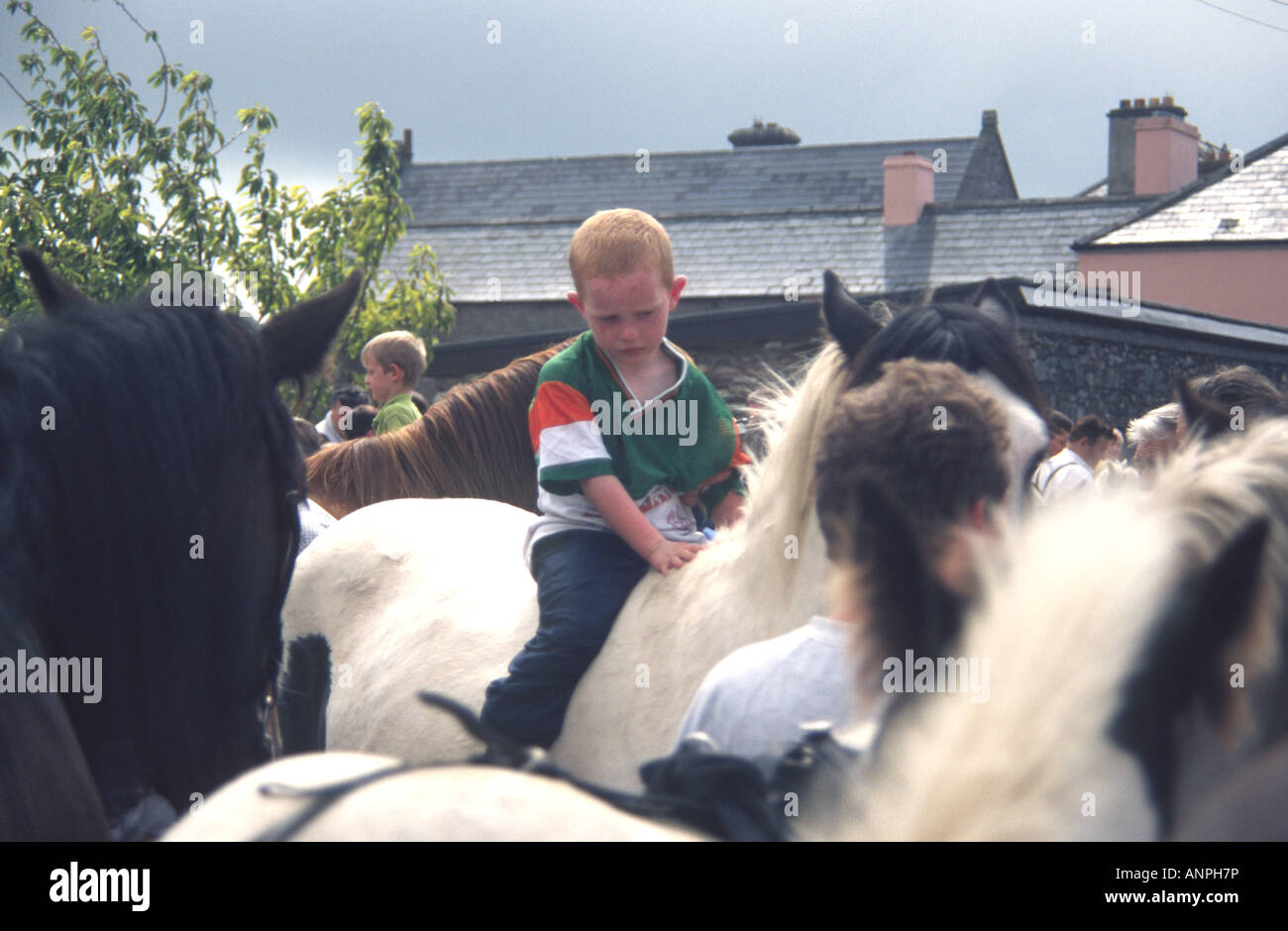 Puck fair, Horse fair at Killorglin, Irish Dancing at Puck Fair ...