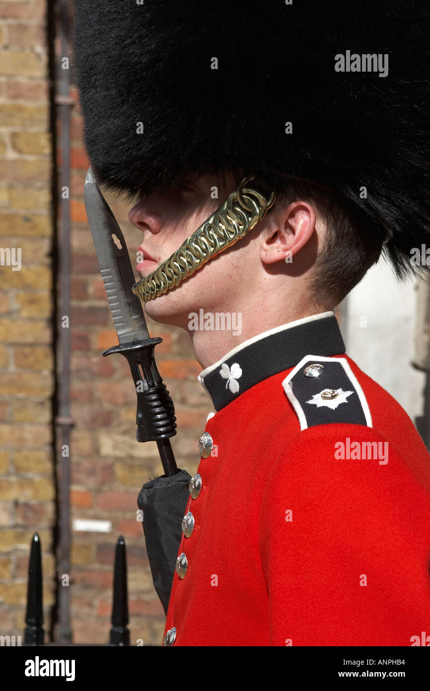 Guardsman soldier of Irish Guards on guard with fixed bayonet on rifle ...