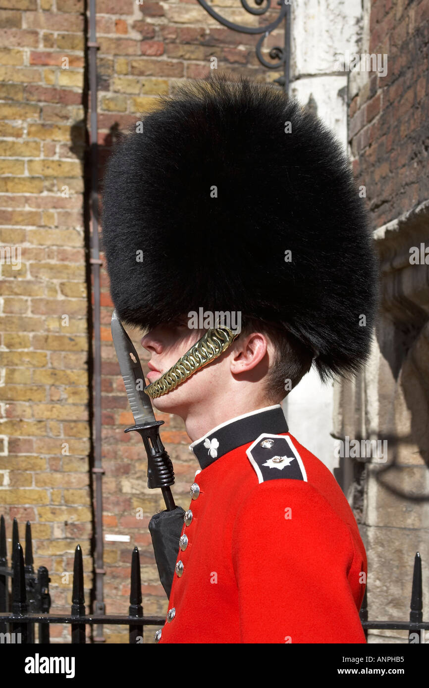 Guardsman soldier of Irish Guards on guard with fixed bayonet on rifle ...