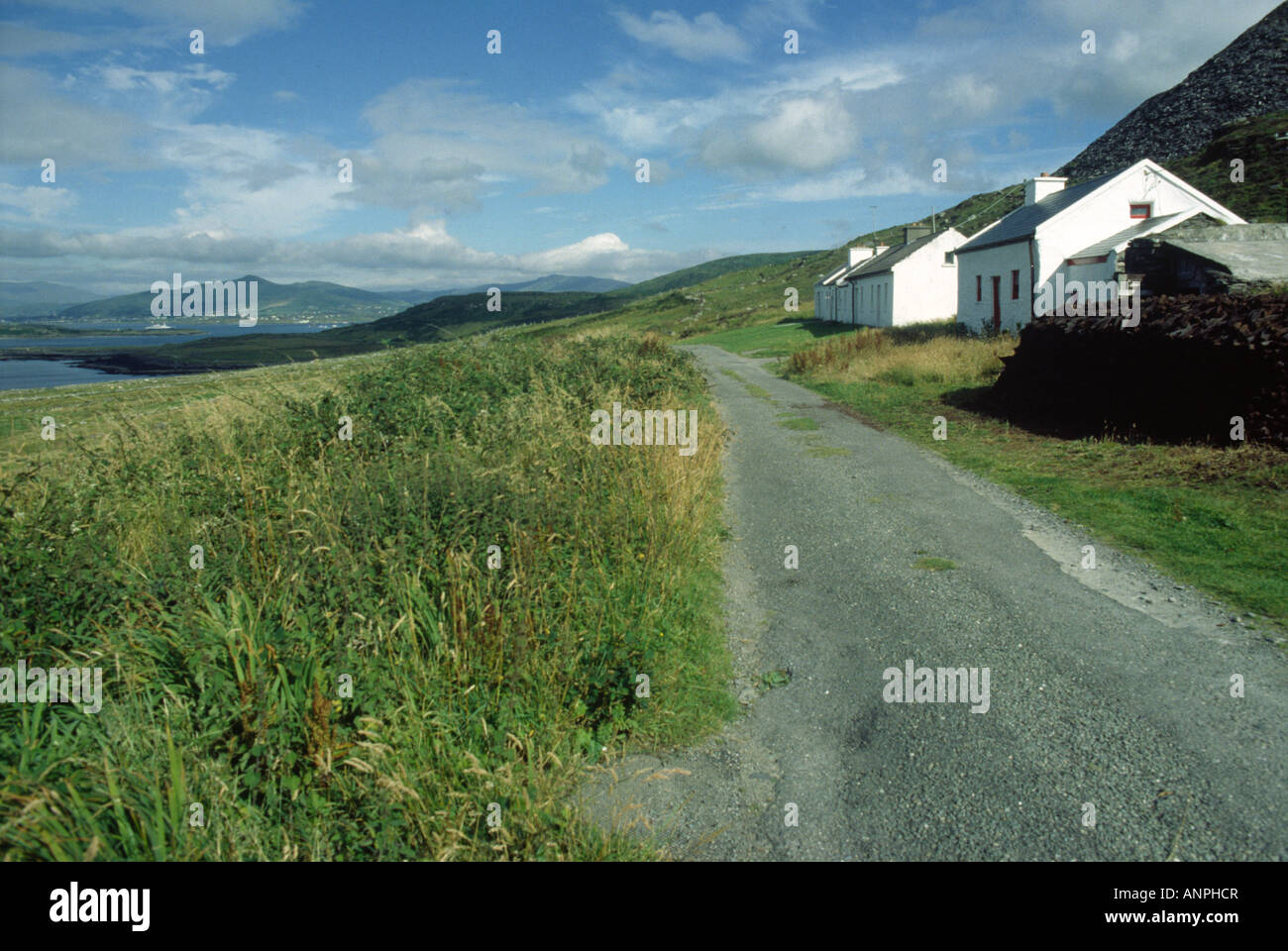 Irish Coast, Fields with stone walls, Valentia Island, Kerry, Ireland ...