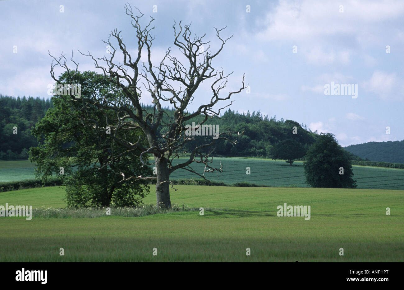 Nurney Co Carlow Ireland Stock Photo - Alamy