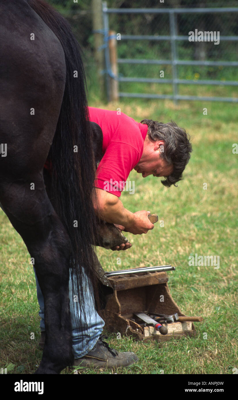 Irish blacksmith shoeing horse at Upton steam rally Co Cork Ireland ...