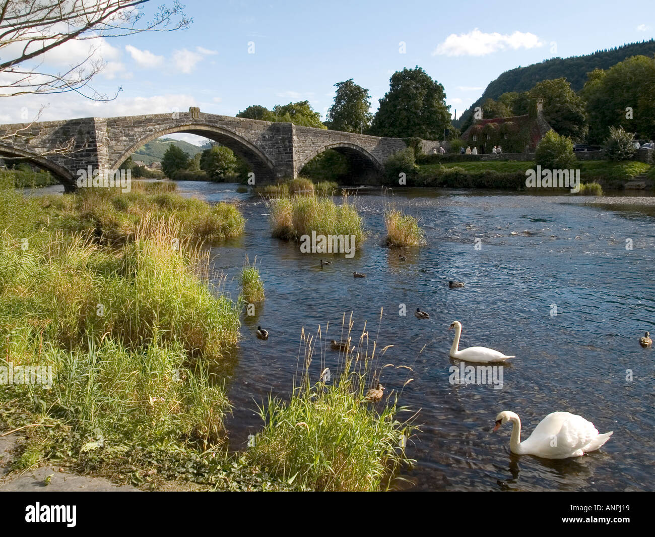 A 17th century stone arched bridge spans the river Conwy in Llanwrst ...
