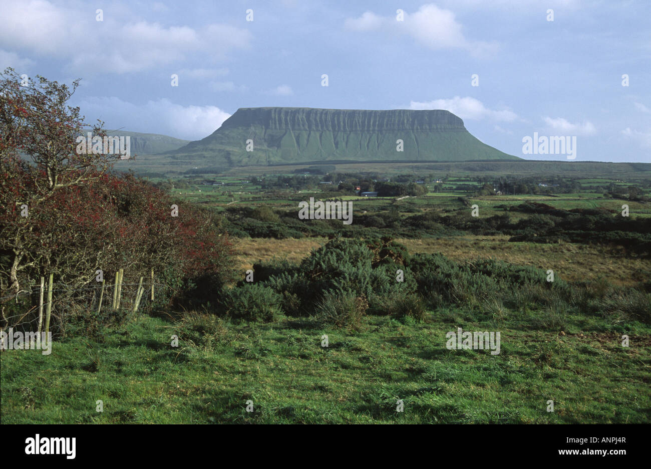 Table Mountain Ireland
