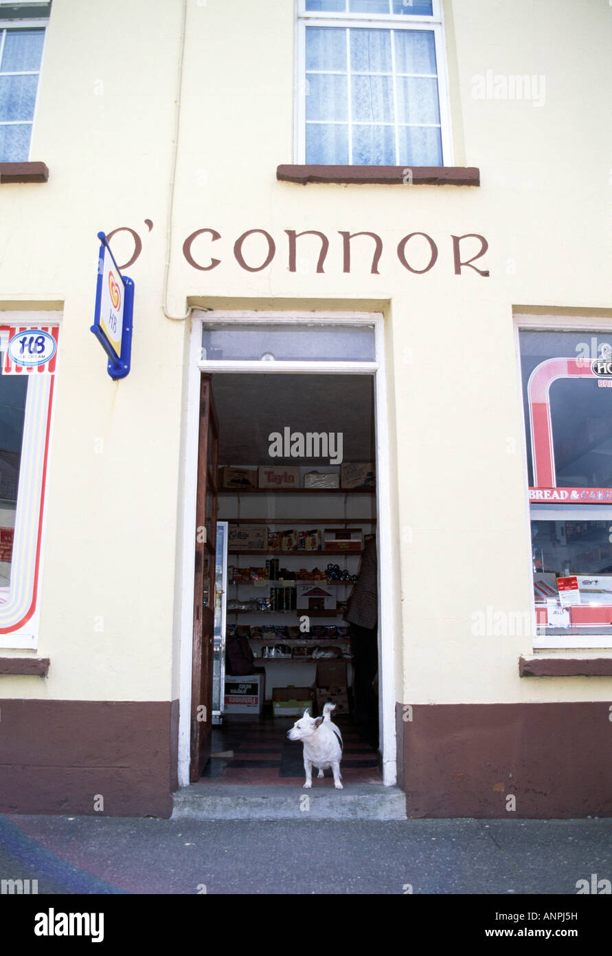 irish country village shop front with small dog standing in doorway ...