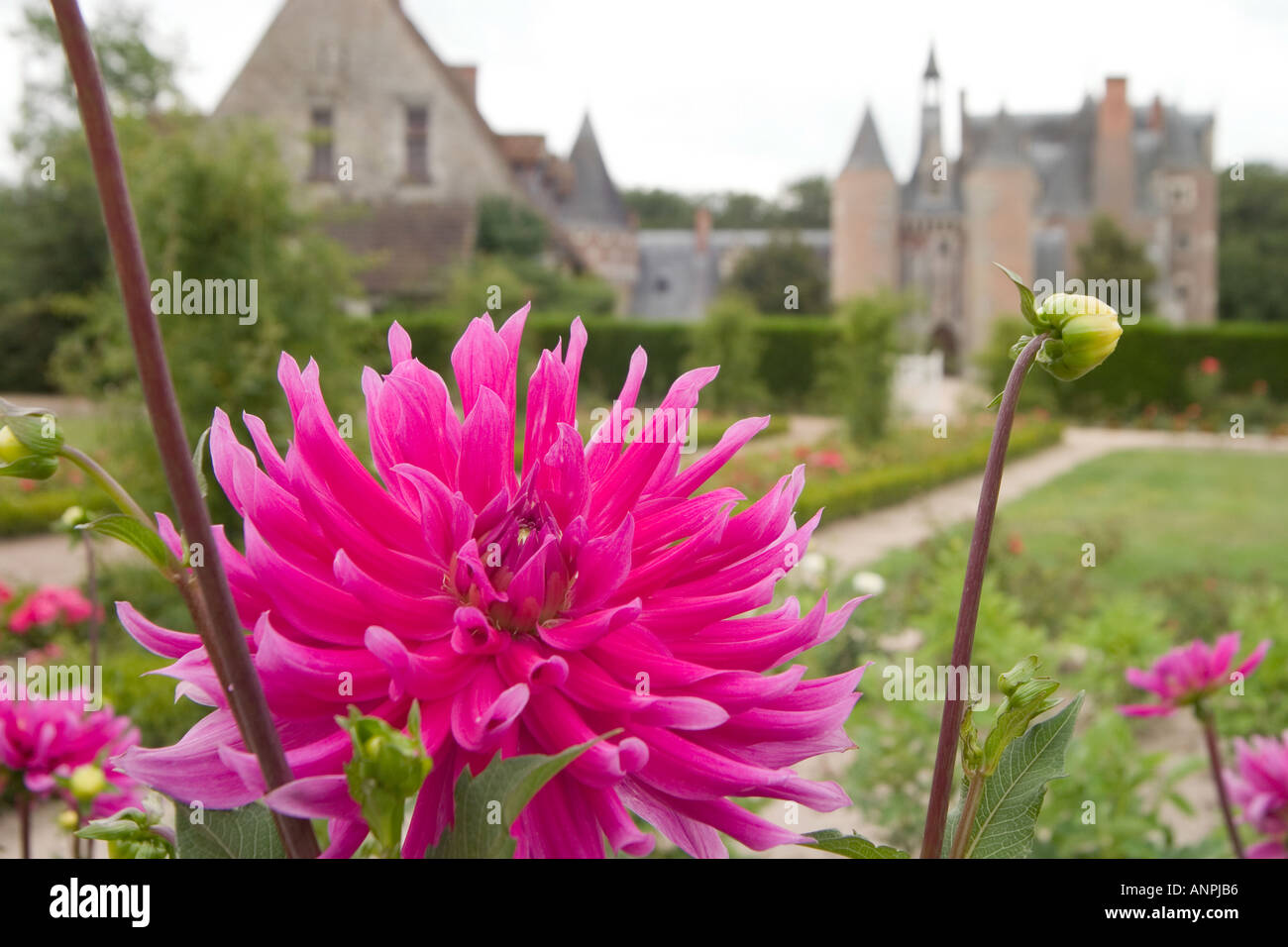 Chateau du Moulin Lassay sur Croisne France Stock Photo - Alamy