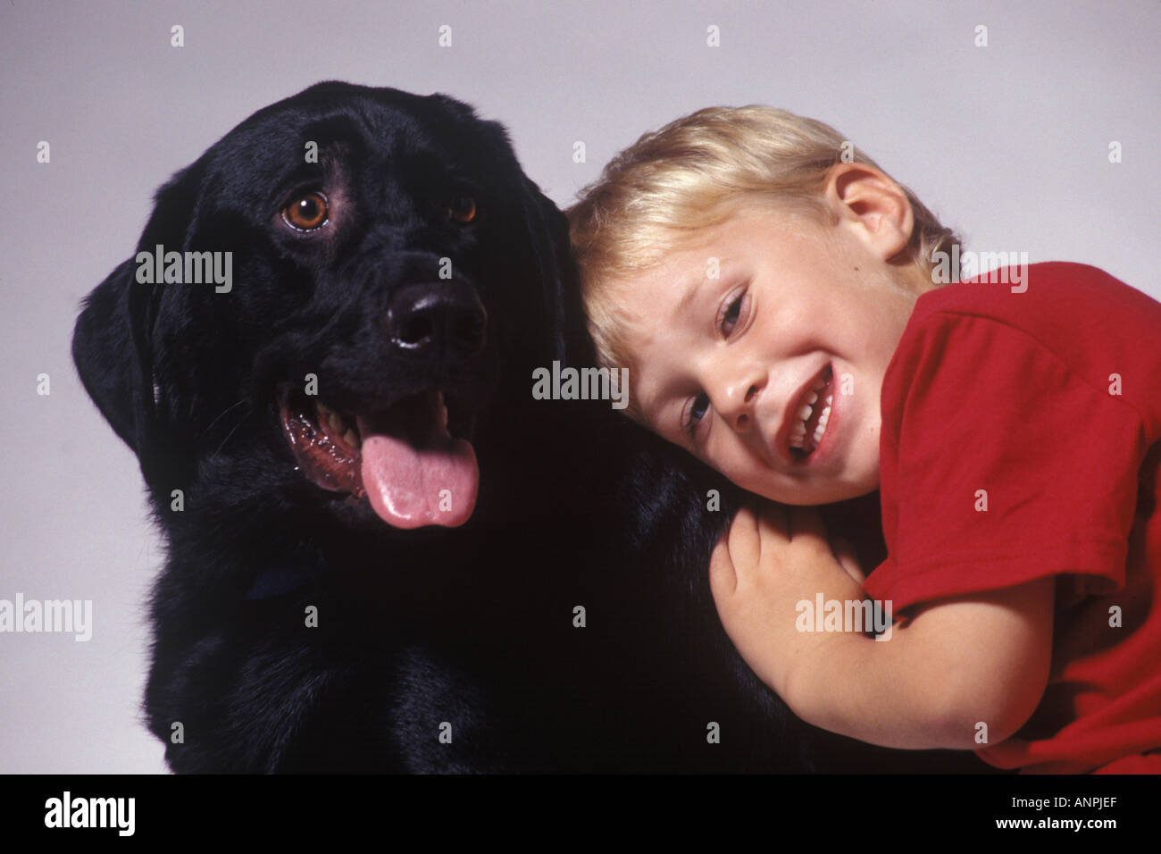 Black lab affection hi-res stock photography and images - Alamy