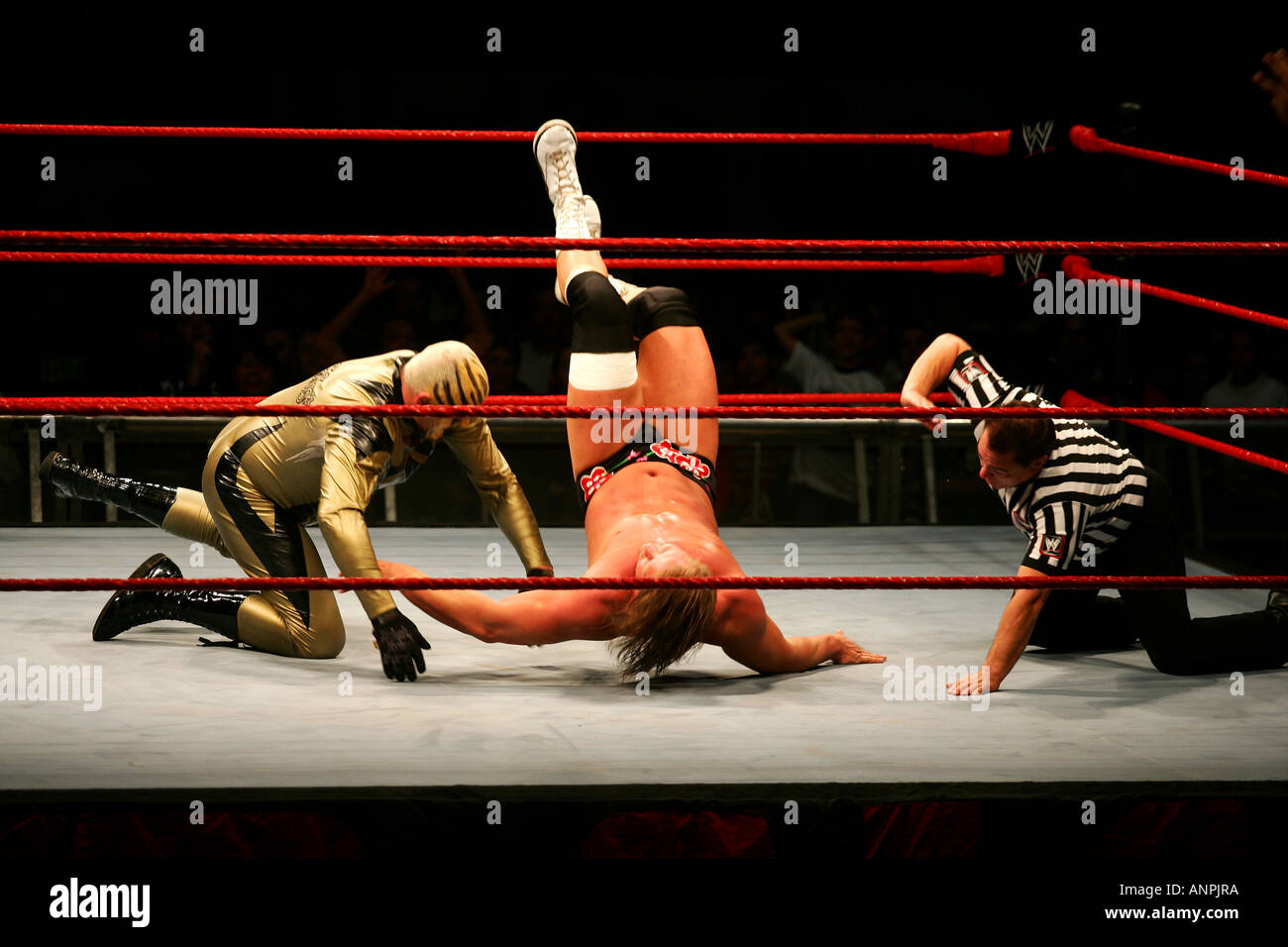 Wwe wrestling hi-res stock photography and images - Alamy