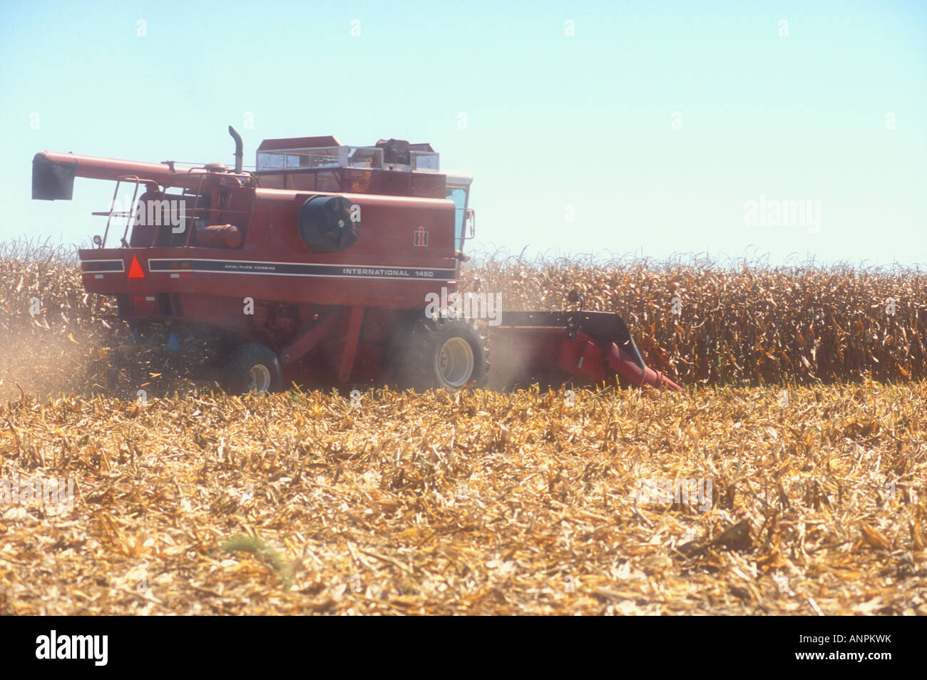 Combine harvesting corn crop Stock Photo - Alamy