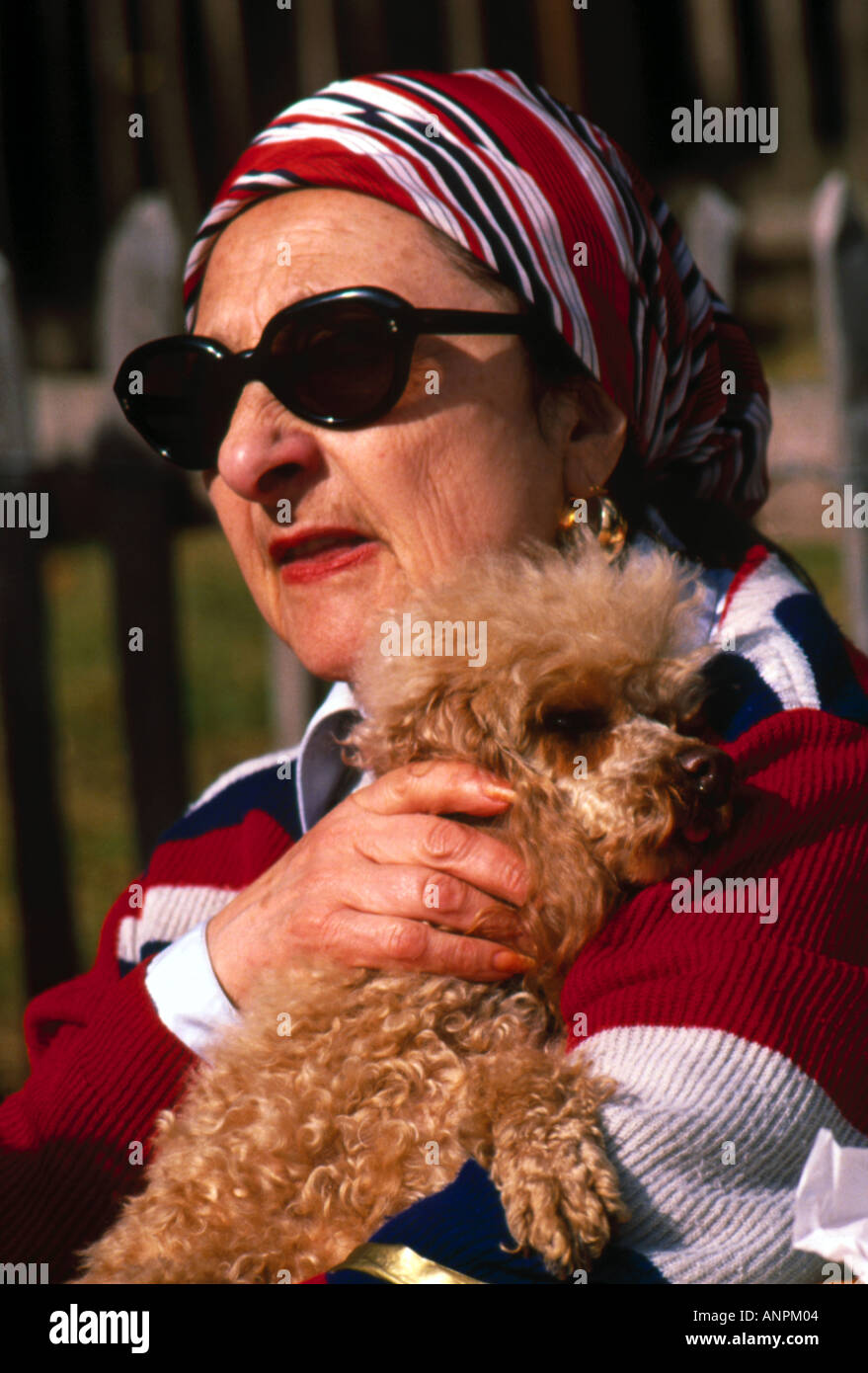 Lady with toy poodle dog Stock Photo - Alamy