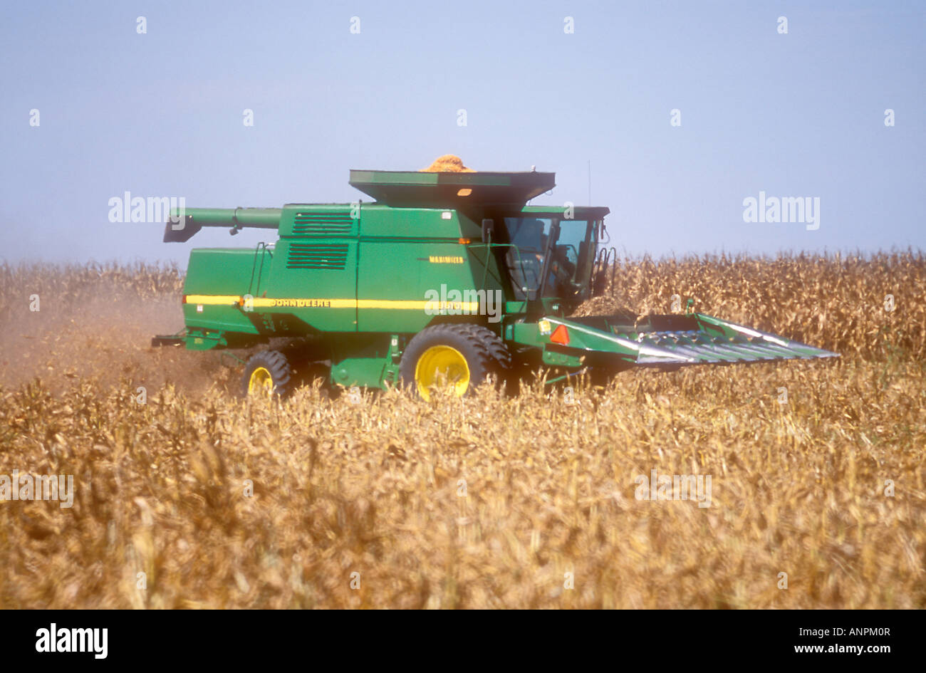 Harvesting corn with a combine Stock Photo - Alamy
