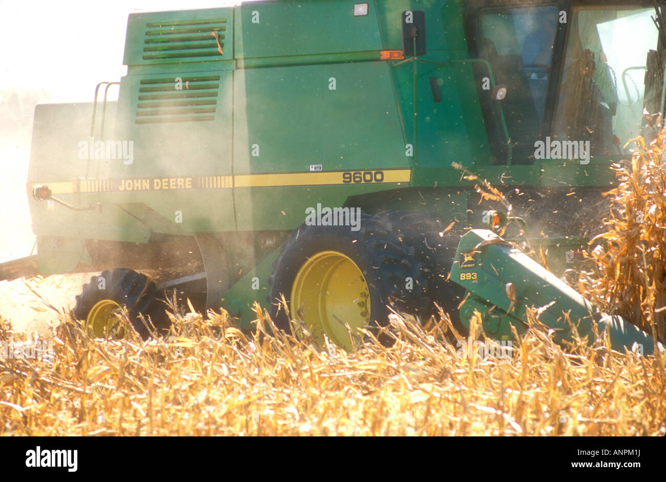 John deere maize harvest hi-res stock photography and images - Alamy