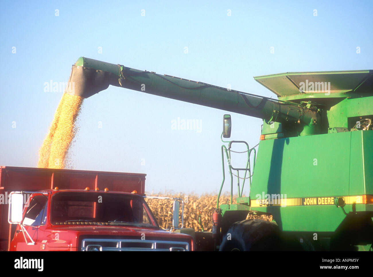 Harvesting corn with a combine Stock Photo - Alamy