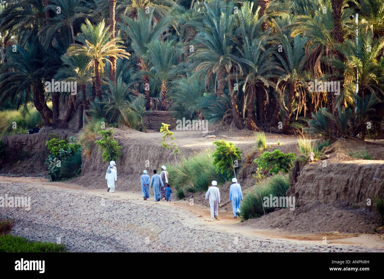 Egypt People on the Nile river bank Stock Photo - Alamy