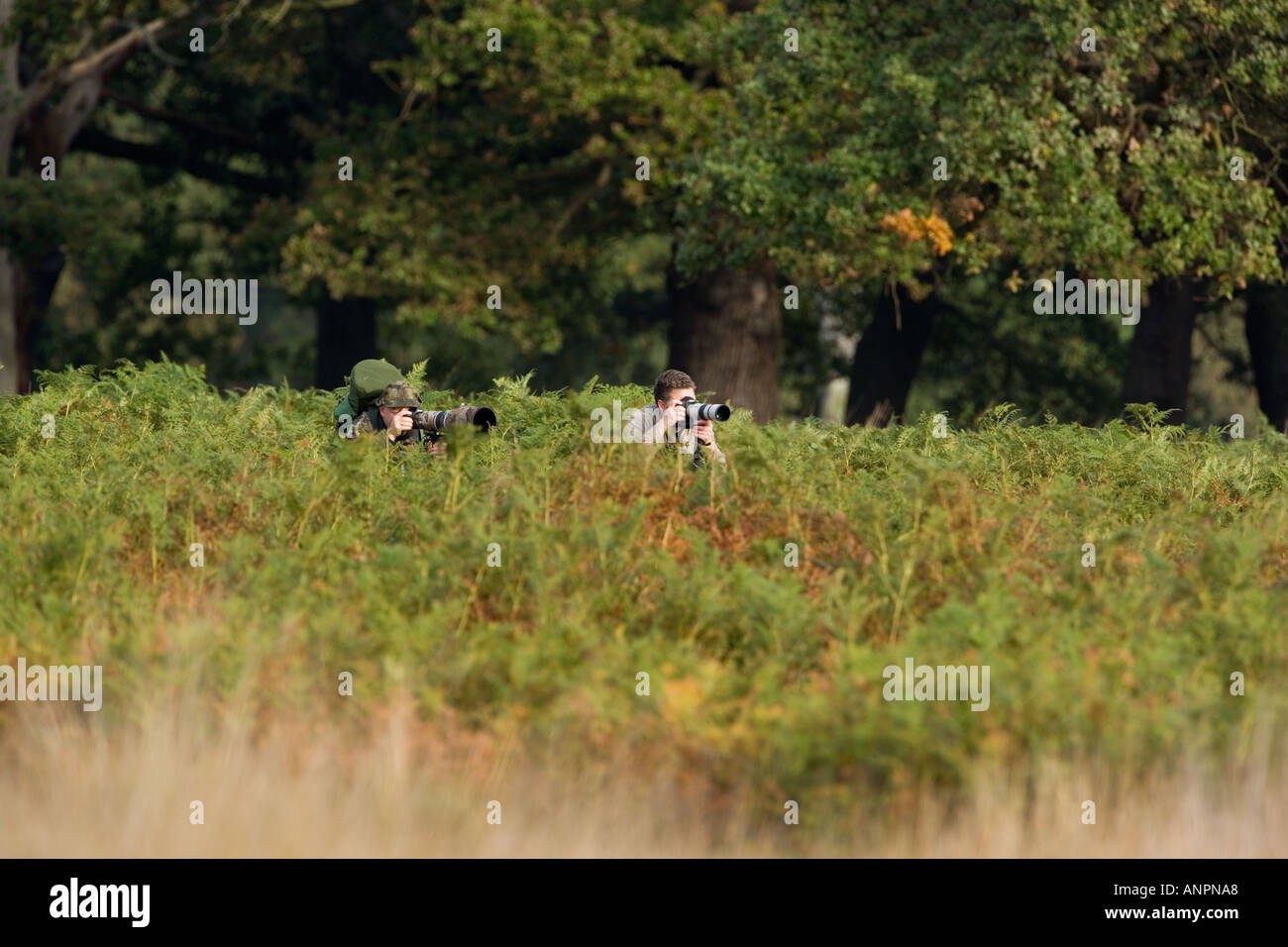 Two lenses hi-res stock photography and images - Alamy