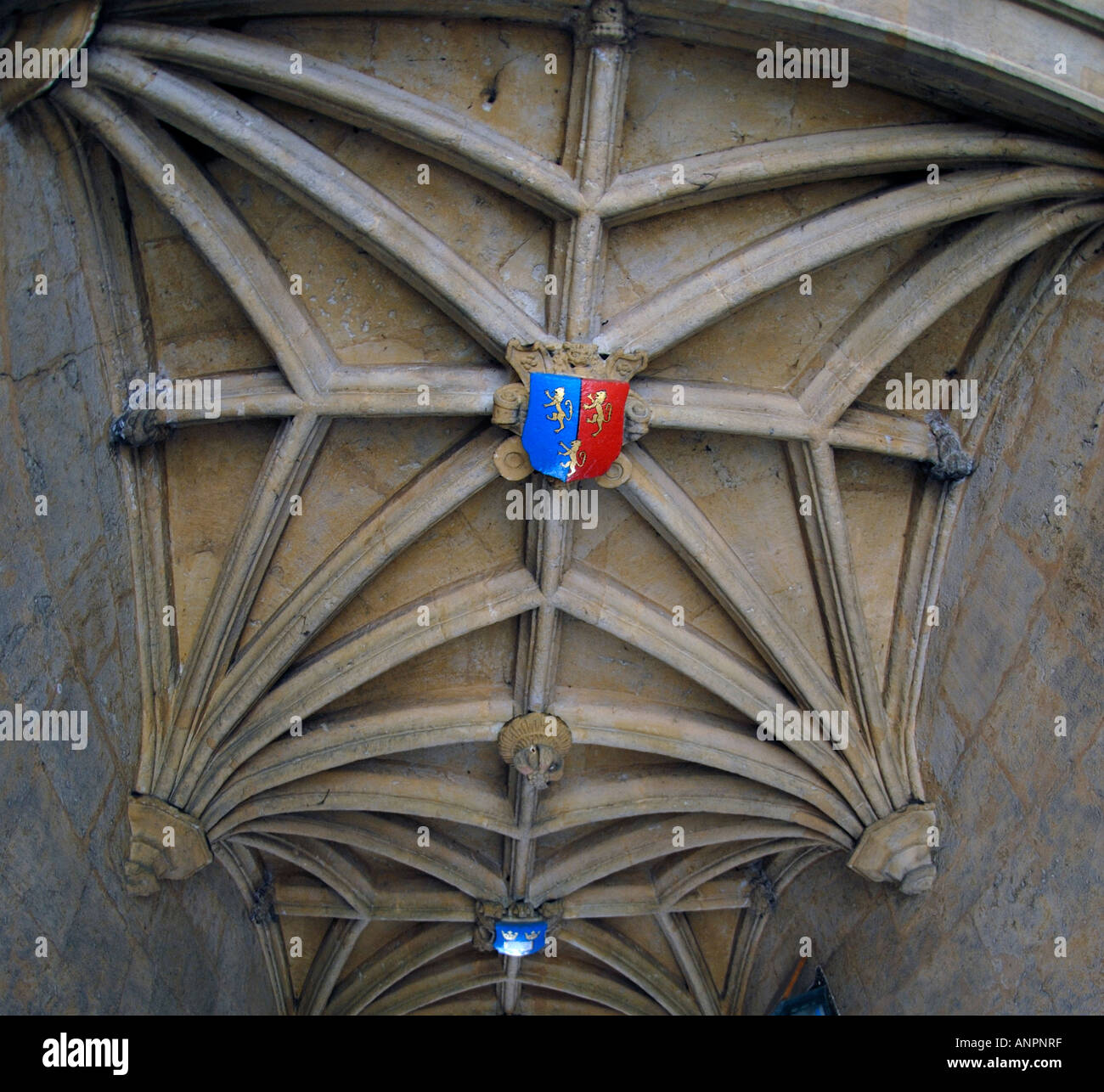 Oxford University College Crests on the ceiling of the Bodleian Library ...