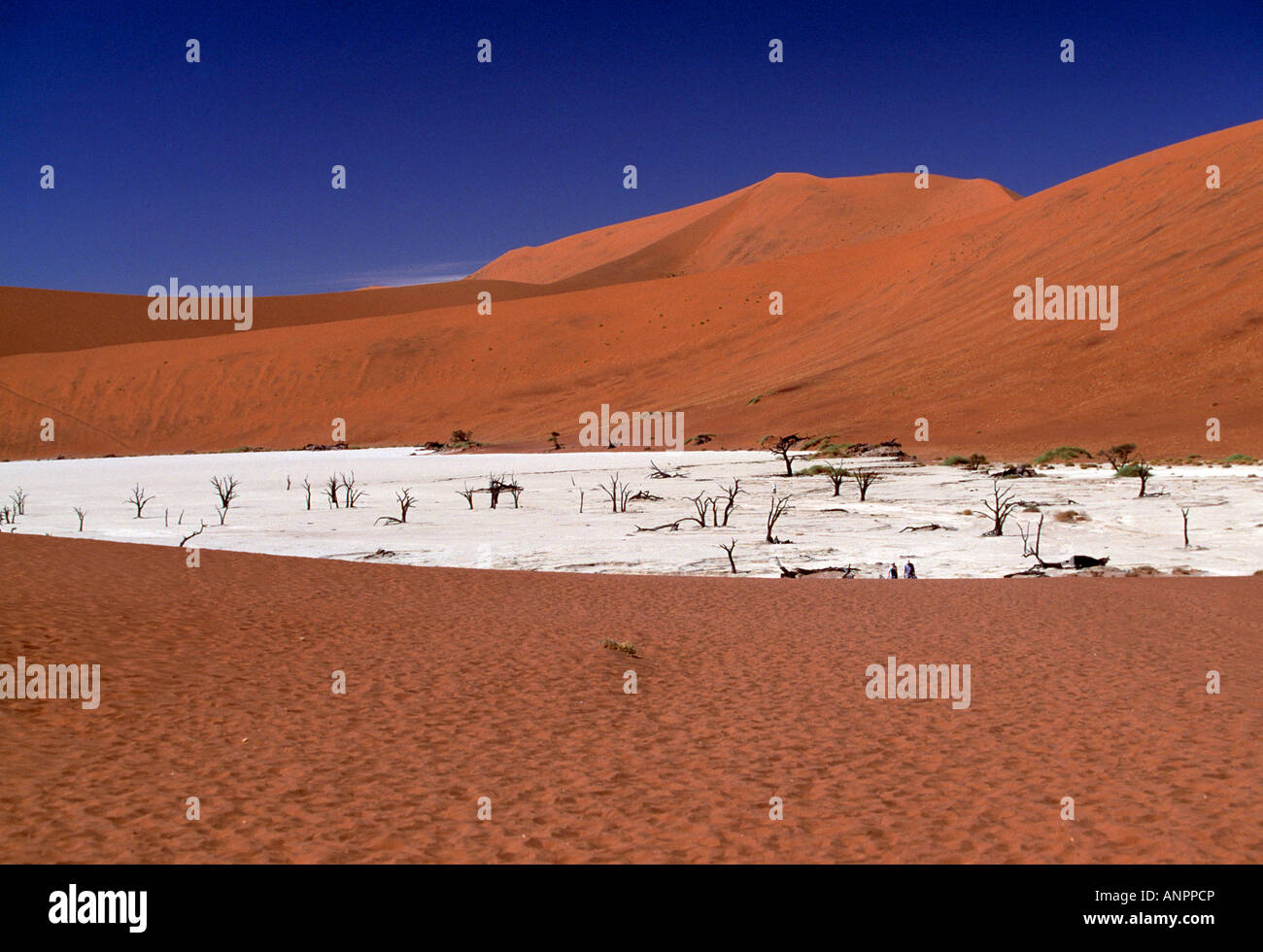 Namibian desert isolation hi-res stock photography and images - Alamy