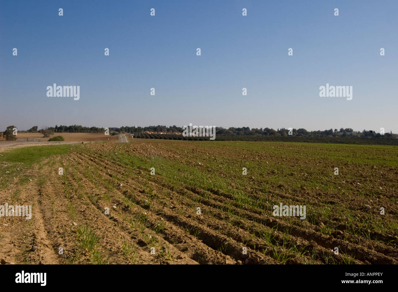 Kibbutz beeri hi-res stock photography and images - Alamy
